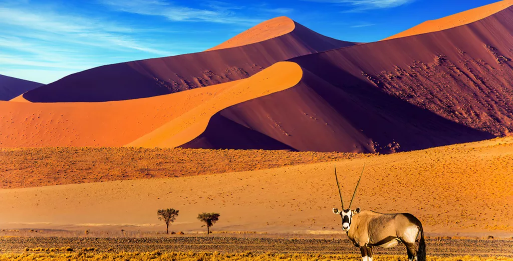 BEST OF NAMIBIA - Duomo Viaggi